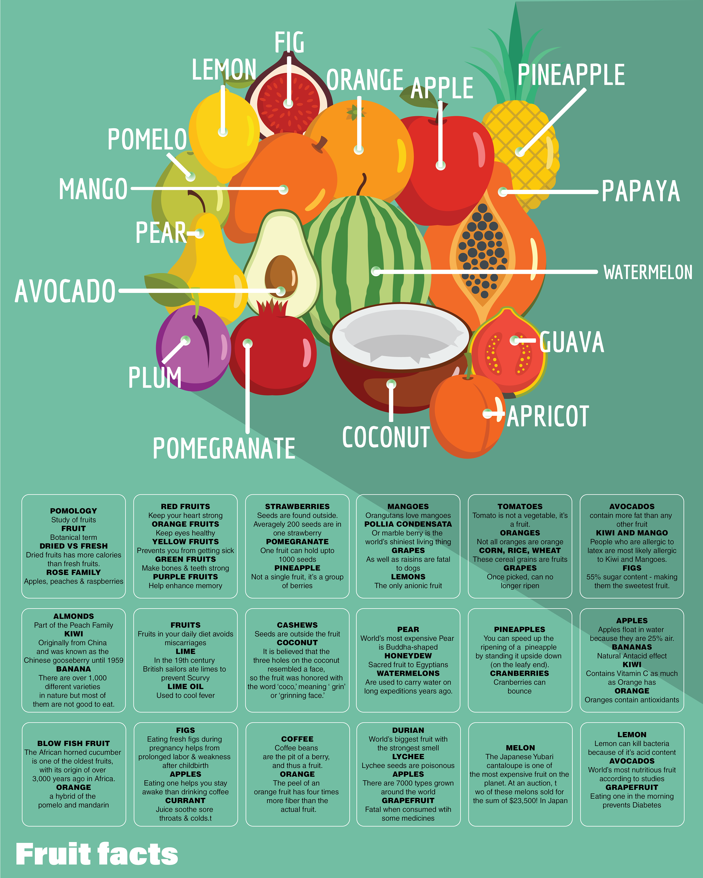 Free Back-To-School Printables Fruits with Fun Facts for Kids Poster ...